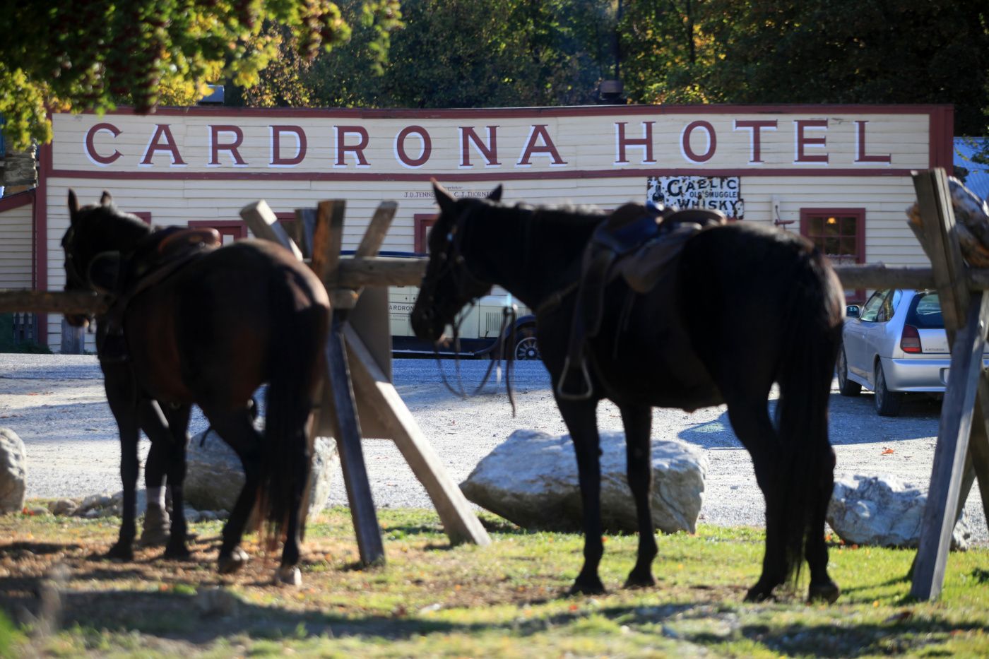 The Cardrona Horse Riding & 4×4 ATV’s Favourite Local Hot Spots: Discovering Distilleries ...
