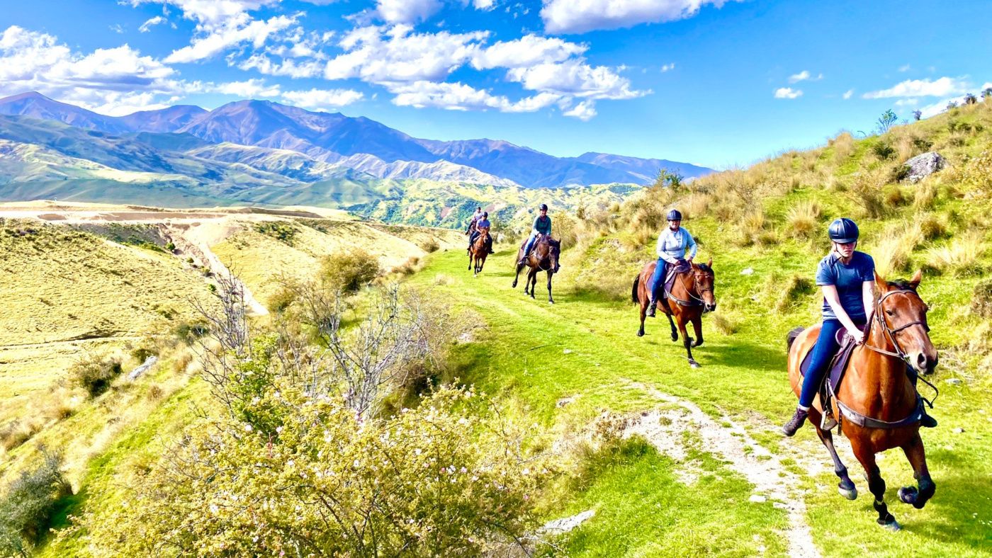 Discover the Magic of Spring: The Cardrona Horse Riding in the ...